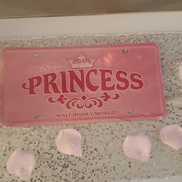 Disney | Wall Decor | Nwt Disney Princess License Pink Plate | Poshmark